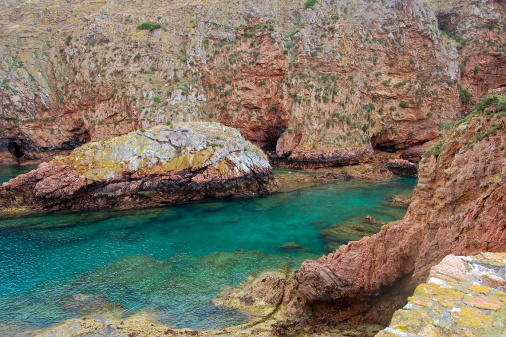 Berlengas, guia completo para visitar a ilha | Explorandar
